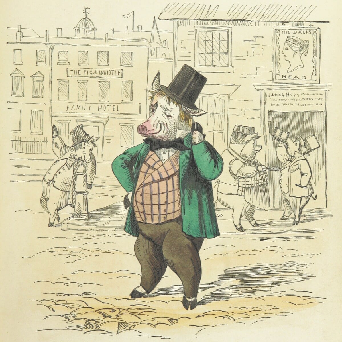 Smart Pig Art - Colorful Pig Illustrations of Precocious Piggy