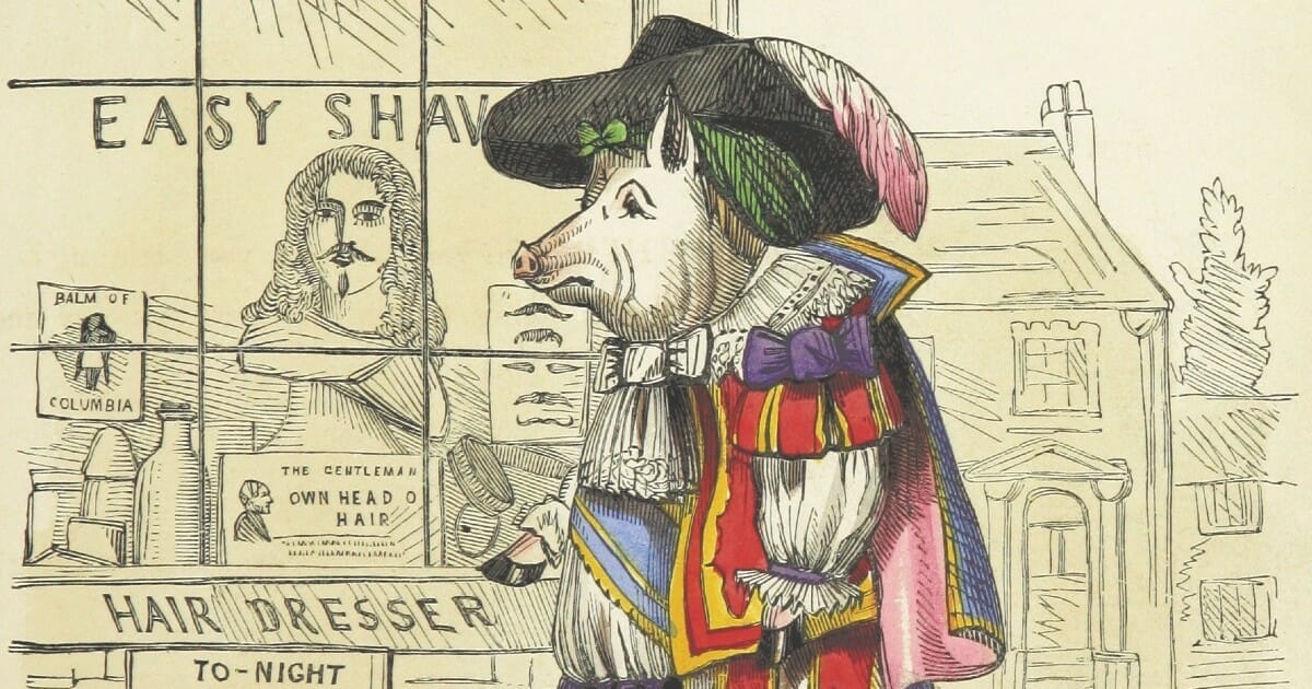 Smart Pig Art - Colorful Pig Illustrations of Precocious Piggy