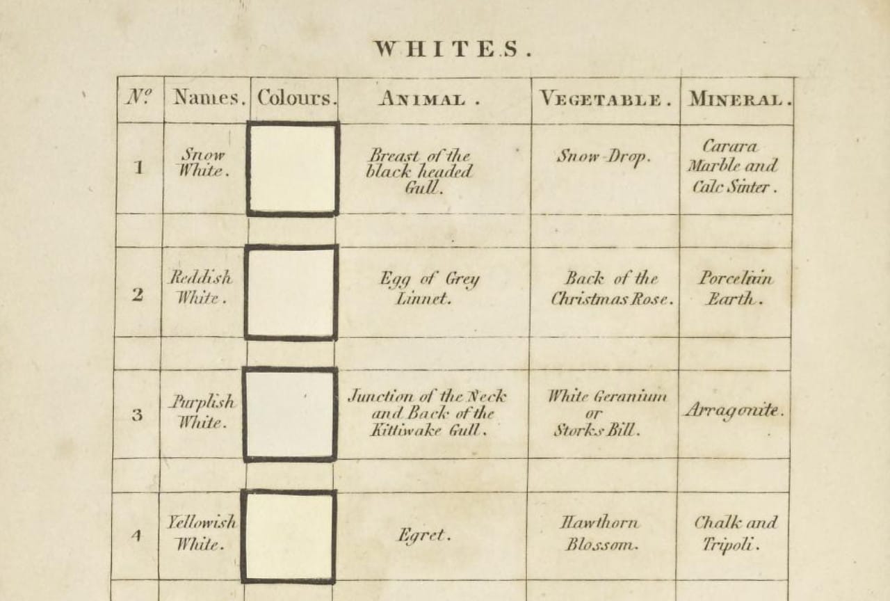 Snow White Snowdrop Color